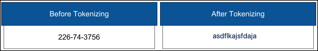 Introduction to Delphix Masking